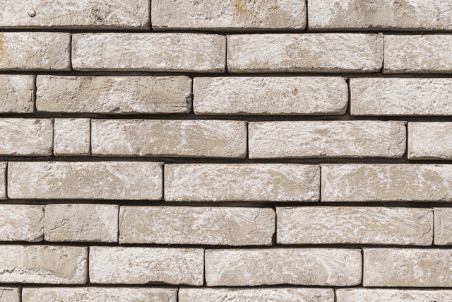 Siva Fasadna Cigla Antro | Brick House Beograd
